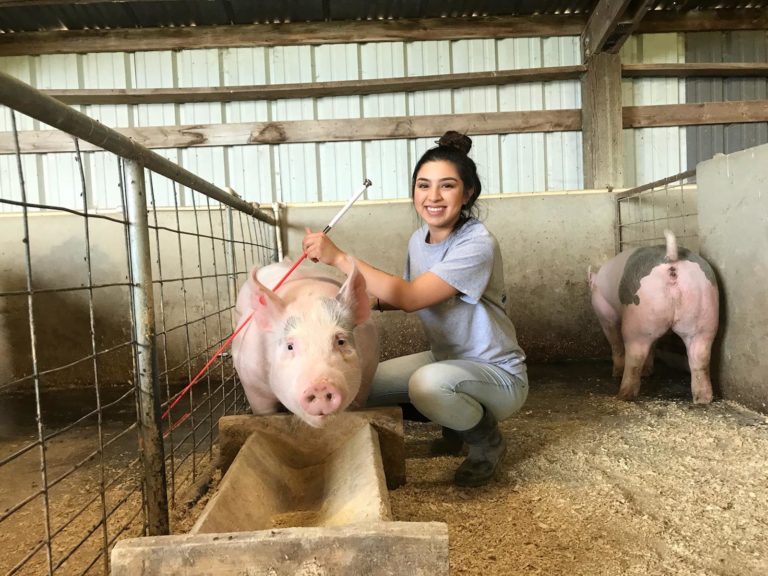 Work With Us - Building Material Distributors (BMD)